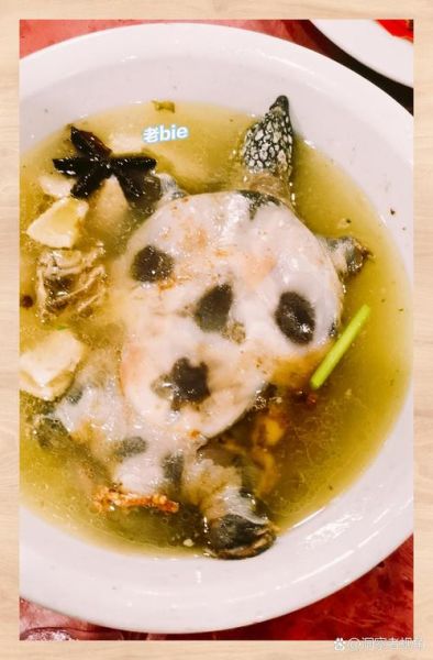 乌龟炖汤的做法大全_乌龟汤怎么炖最补-第3张图片-山城妙识 乌龟炖汤的做法大全_乌龟汤怎么炖最补-第3张图片-山城妙识