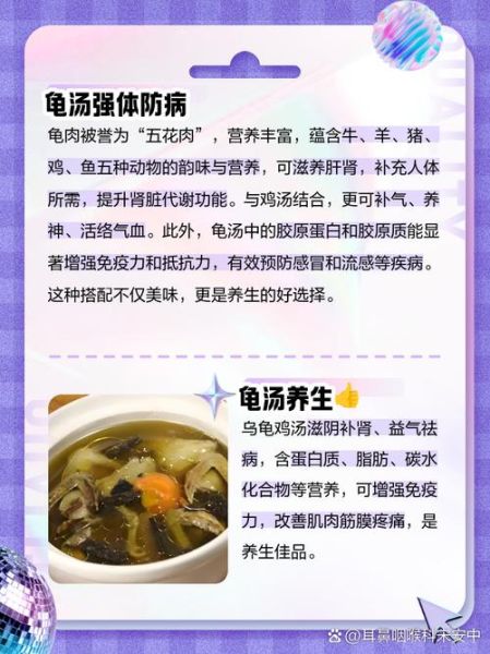 乌龟炖汤的做法大全_乌龟汤怎么炖最补-第2张图片-山城妙识 乌龟炖汤的做法大全_乌龟汤怎么炖最补-第2张图片-山城妙识