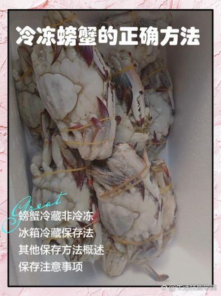 螃蟹死了冷藏还是冷冻_保存多久还能吃-第3张图片-山城妙识 螃蟹死了冷藏还是冷冻_保存多久还能吃-第3张图片-山城妙识