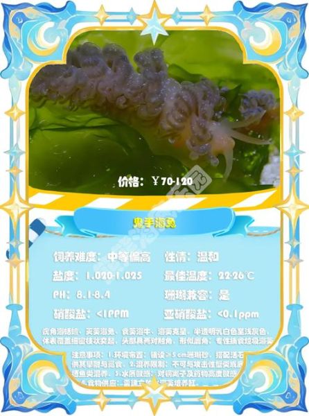 小海兔是什么动物_小海兔怎么养-第3张图片-山城妙识 小海兔是什么动物_小海兔怎么养-第3张图片-山城妙识