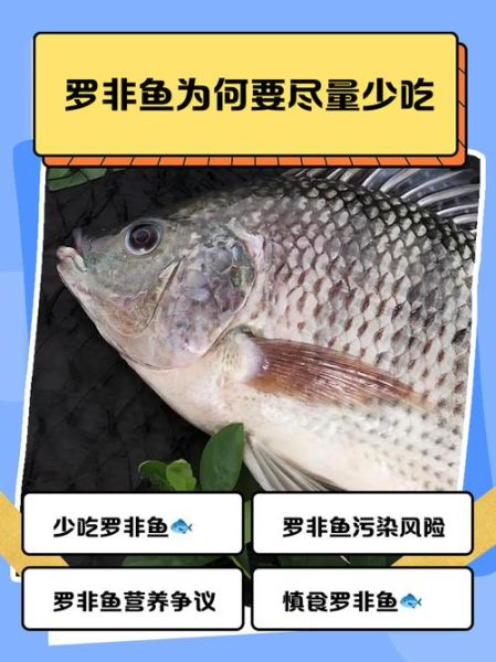 女生为什么不能吃罗非鱼_罗非鱼对女性的危害-第1张图片-山城妙识 女生为什么不能吃罗非鱼_罗非鱼对女性的危害-第1张图片-山城妙识