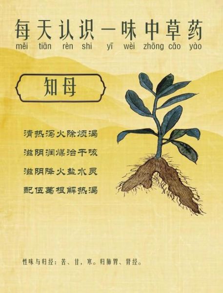 知母的功效与作用有哪些_知母主治什么病-第1张图片-山城妙识 知母的功效与作用有哪些_知母主治什么病-第1张图片-山城妙识