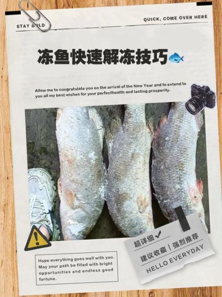 冰冻多宝鱼怎么做好吃_解冻技巧-第1张图片-山城妙识 冰冻多宝鱼怎么做好吃_解冻技巧-第1张图片-山城妙识