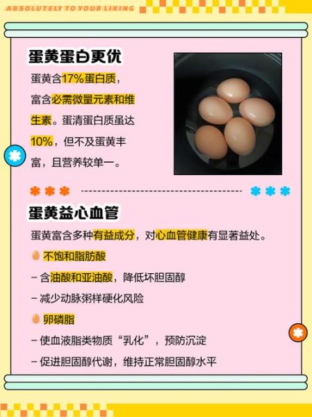 蛋清蛋黄哪个营养价值高_健身增肌选哪个-第1张图片-山城妙识 蛋清蛋黄哪个营养价值高_健身增肌选哪个-第1张图片-山城妙识