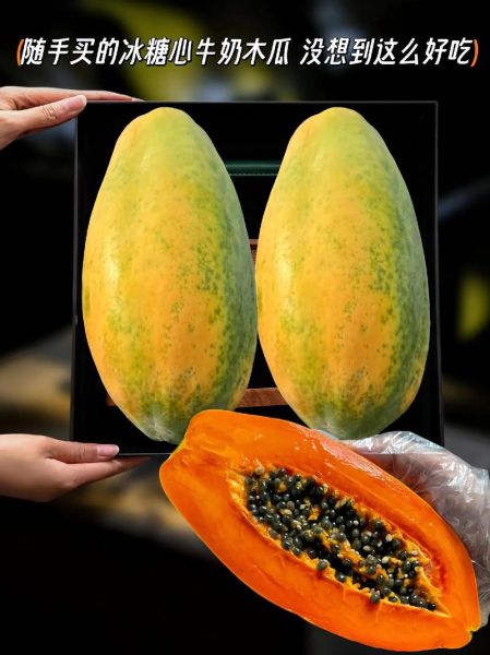 木瓜牛奶的功效与作用_木瓜牛奶可以丰胸吗-第3张图片-山城妙识 木瓜牛奶的功效与作用_木瓜牛奶可以丰胸吗-第3张图片-山城妙识