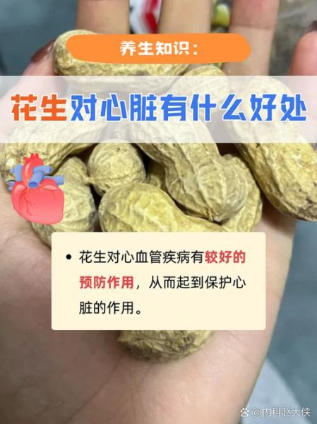 花生的营养价值_吃花生有什么好处-第3张图片-山城妙识 花生的营养价值_吃花生有什么好处-第3张图片-山城妙识