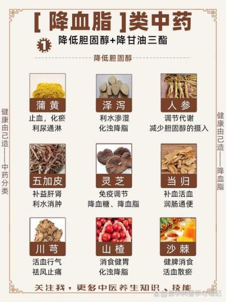 血脂高是怎么造成的_血脂高吃什么能降下来-第3张图片-山城妙识 血脂高是怎么造成的_血脂高吃什么能降下来-第3张图片-山城妙识