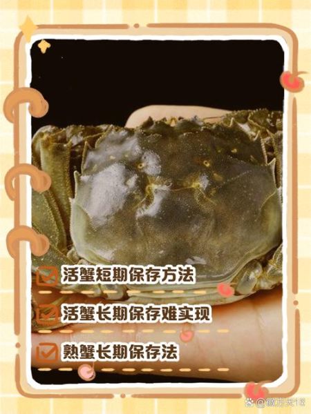螃蟹保鲜冷冻还是冷藏_活蟹能放几天-第1张图片-山城妙识 螃蟹保鲜冷冻还是冷藏_活蟹能放几天-第1张图片-山城妙识