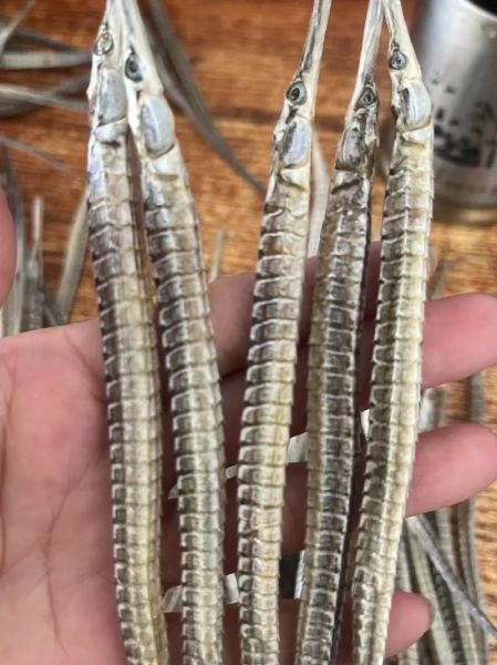 海龙多少钱一克_海龙价格行情-第1张图片-山城妙识 海龙多少钱一克_海龙价格行情-第1张图片-山城妙识