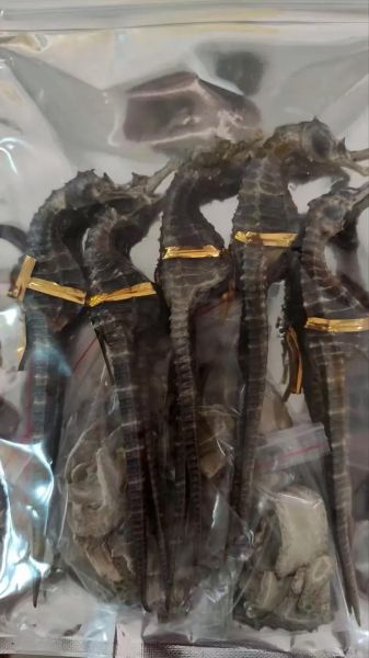 海龙多少钱一克_海龙价格行情-第2张图片-山城妙识 海龙多少钱一克_海龙价格行情-第2张图片-山城妙识