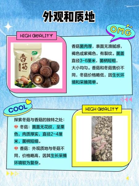 香菇和冬菇是同一种东西吗_区别与选购指南-第1张图片-山城妙识 香菇和冬菇是同一种东西吗_区别与选购指南-第1张图片-山城妙识
