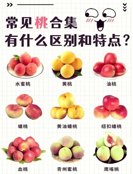 毛桃怎么吃_毛桃和油桃区别-第2张图片-山城妙识 毛桃怎么吃_毛桃和油桃区别-第2张图片-山城妙识