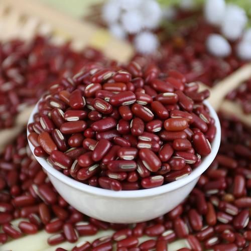 赤小豆图片_如何辨别真假赤小豆-第3张图片-山城妙识 赤小豆图片_如何辨别真假赤小豆-第3张图片-山城妙识