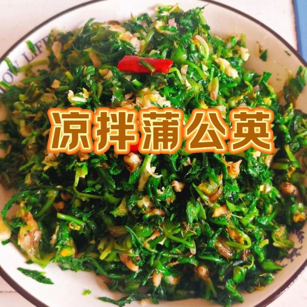 蒲公英的吃法有哪些_蒲公英怎么吃最好-第1张图片-山城妙识 蒲公英的吃法有哪些_蒲公英怎么吃最好-第1张图片-山城妙识