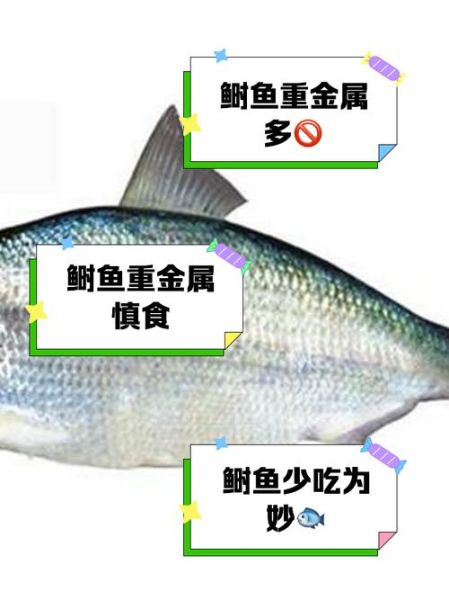 鲥鱼为什么那么多刺_鲥鱼刺怎么挑干净-第1张图片-山城妙识 鲥鱼为什么那么多刺_鲥鱼刺怎么挑干净-第1张图片-山城妙识