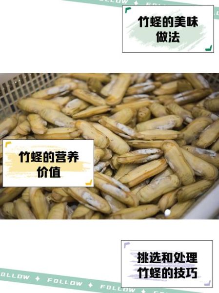 大竹蛏怎么挑选_大竹蛏和竹蛏区别-第1张图片-山城妙识 大竹蛏怎么挑选_大竹蛏和竹蛏区别-第1张图片-山城妙识