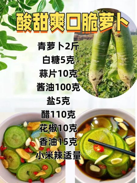 酸甜爽口脆萝卜怎么做_家常腌萝卜秘诀-第3张图片-山城妙识 酸甜爽口脆萝卜怎么做_家常腌萝卜秘诀-第3张图片-山城妙识