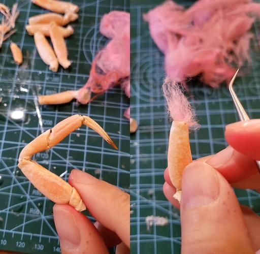 螃蟹标本怎么做_螃蟹标本制作步骤-第1张图片-山城妙识 螃蟹标本怎么做_螃蟹标本制作步骤-第1张图片-山城妙识