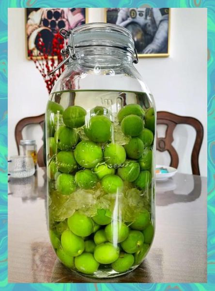 酒酿小青梅_小花喵写作技巧-第3张图片-山城妙识 酒酿小青梅_小花喵写作技巧-第3张图片-山城妙识