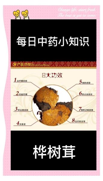 桦树茸的功效主治什么_桦树茸能治哪些病-第1张图片-山城妙识 桦树茸的功效主治什么_桦树茸能治哪些病-第1张图片-山城妙识