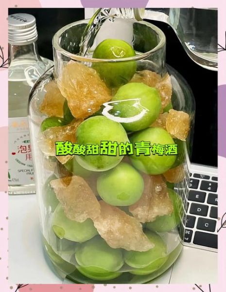 酒酿小青梅_小花喵写作技巧-第1张图片-山城妙识 酒酿小青梅_小花喵写作技巧-第1张图片-山城妙识