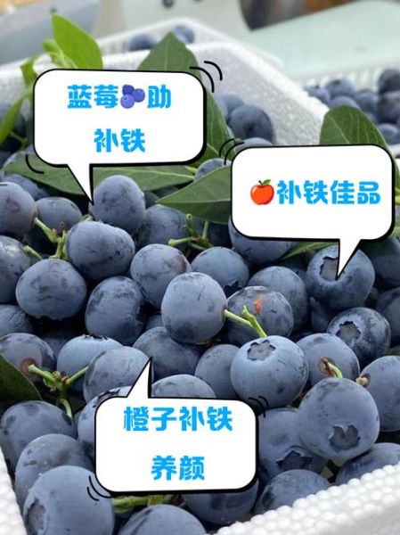 补铁补血的水果有哪些_孕妇吃什么水果补血最快-第2张图片-山城妙识 补铁补血的水果有哪些_孕妇吃什么水果补血最快-第2张图片-山城妙识