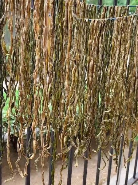 晒豆角干怎么晒_晒豆角干要焯水吗-第1张图片-山城妙识 晒豆角干怎么晒_晒豆角干要焯水吗-第1张图片-山城妙识