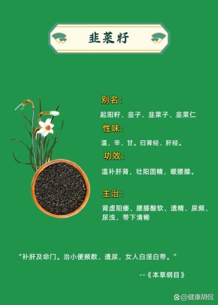 韭菜子的功效与作用及禁忌_韭菜子壮阳怎么吃最有效-第2张图片-山城妙识 韭菜子的功效与作用及禁忌_韭菜子壮阳怎么吃最有效-第2张图片-山城妙识