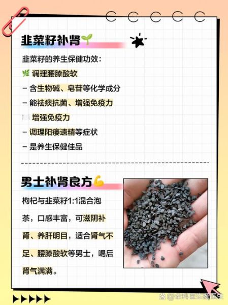 韭菜子的功效与作用及禁忌_韭菜子壮阳怎么吃最有效-第1张图片-山城妙识 韭菜子的功效与作用及禁忌_韭菜子壮阳怎么吃最有效-第1张图片-山城妙识