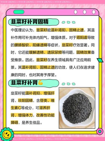 韭菜子的功效与作用及禁忌_韭菜子壮阳怎么吃最有效-第3张图片-山城妙识 韭菜子的功效与作用及禁忌_韭菜子壮阳怎么吃最有效-第3张图片-山城妙识