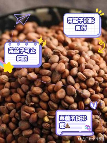 莱菔子什么人不能吃_莱菔子与哪些药相克-第2张图片-山城妙识 莱菔子什么人不能吃_莱菔子与哪些药相克-第2张图片-山城妙识