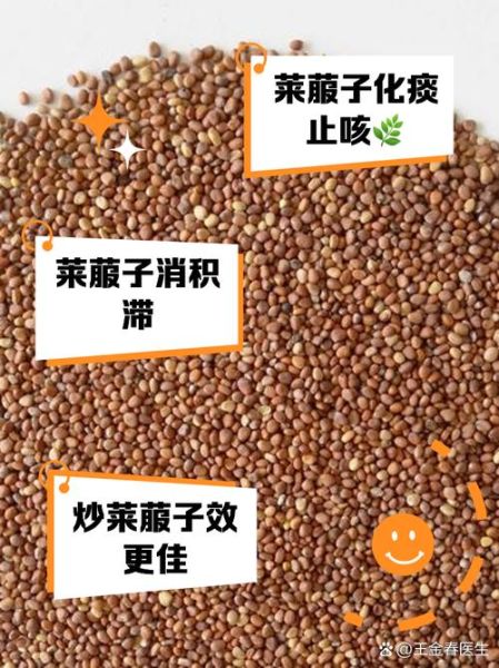 莱菔子什么人不能吃_莱菔子与哪些药相克-第1张图片-山城妙识 莱菔子什么人不能吃_莱菔子与哪些药相克-第1张图片-山城妙识