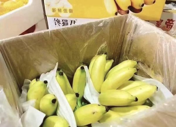 帝王蕉的功效与作用_帝王蕉适合什么人吃-第1张图片-山城妙识 帝王蕉的功效与作用_帝王蕉适合什么人吃-第1张图片-山城妙识