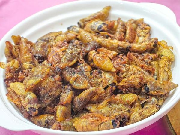 蝉菜怎么做好吃_蝉菜的做法大全-第1张图片-山城妙识 蝉菜怎么做好吃_蝉菜的做法大全-第1张图片-山城妙识