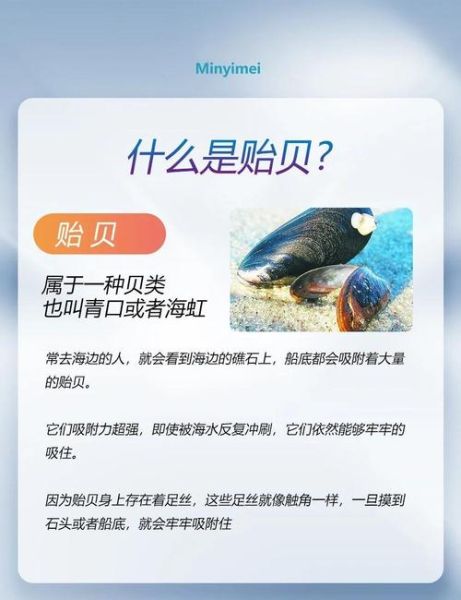 贻贝粘蛋白修复皮肤吗_贻贝粘蛋白功效与作用-第1张图片-山城妙识 贻贝粘蛋白修复皮肤吗_贻贝粘蛋白功效与作用-第1张图片-山城妙识