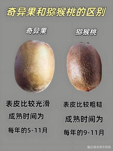 奇异果和猕猴桃的区别_功效与作用一样吗-第1张图片-山城妙识 奇异果和猕猴桃的区别_功效与作用一样吗-第1张图片-山城妙识