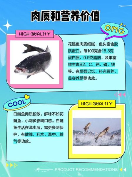 白鲢鱼和花鲢鱼的区别_哪个更好吃-第2张图片-山城妙识 白鲢鱼和花鲢鱼的区别_哪个更好吃-第2张图片-山城妙识