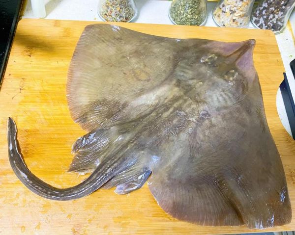 鳐鱼怎么做好吃_鳐鱼的家常做法大全-第2张图片-山城妙识 鳐鱼怎么做好吃_鳐鱼的家常做法大全-第2张图片-山城妙识