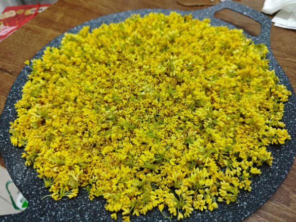 鲜桂花怎么保存_鲜桂花保存方法-第3张图片-山城妙识 鲜桂花怎么保存_鲜桂花保存方法-第3张图片-山城妙识