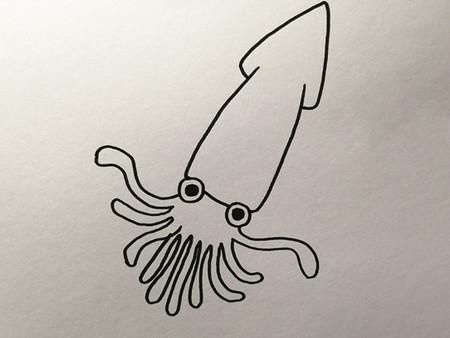 乌鱼图片大全大图_简笔画怎么画-第1张图片-山城妙识 乌鱼图片大全大图_简笔画怎么画-第1张图片-山城妙识