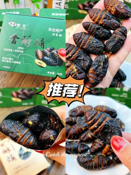 蚕茧壳的功效与作用_蚕茧壳怎么吃效果最好-第2张图片-山城妙识 蚕茧壳的功效与作用_蚕茧壳怎么吃效果最好-第2张图片-山城妙识