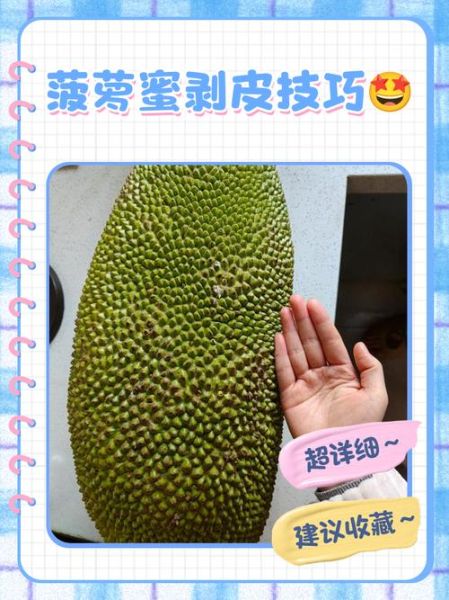 吃菠萝蜜的正确吃法_菠萝蜜怎么剥皮不粘手-第2张图片-山城妙识 吃菠萝蜜的正确吃法_菠萝蜜怎么剥皮不粘手-第2张图片-山城妙识