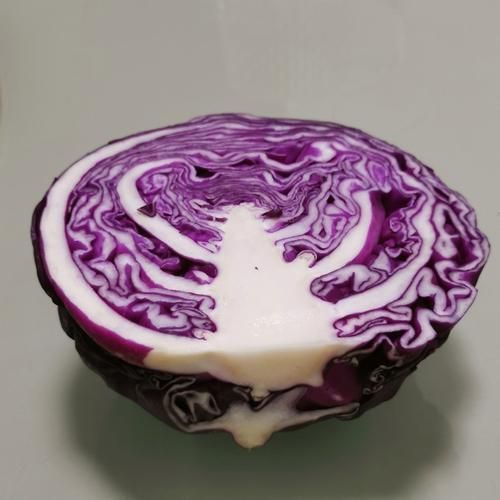 紫色包菜的营养价值_紫色包菜怎么吃最健康-第2张图片-山城妙识 紫色包菜的营养价值_紫色包菜怎么吃最健康-第2张图片-山城妙识