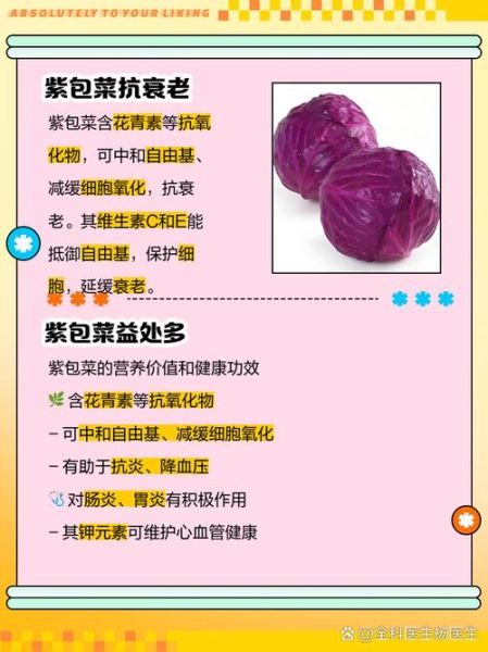 紫色包菜的营养价值_紫色包菜怎么吃最健康-第1张图片-山城妙识 紫色包菜的营养价值_紫色包菜怎么吃最健康-第1张图片-山城妙识