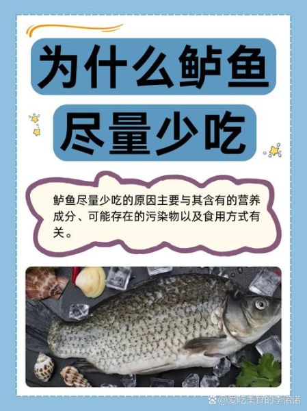 淡水鲈鱼的营养价值_淡水鲈鱼的功效与作用-第1张图片-山城妙识 淡水鲈鱼的营养价值_淡水鲈鱼的功效与作用-第1张图片-山城妙识