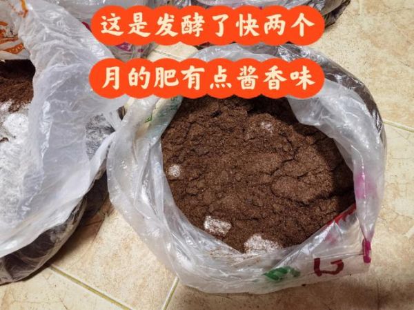 豆渣发酵几天可以浇花_豆渣沤肥多久不烧根-第1张图片-山城妙识 豆渣发酵几天可以浇花_豆渣沤肥多久不烧根-第1张图片-山城妙识