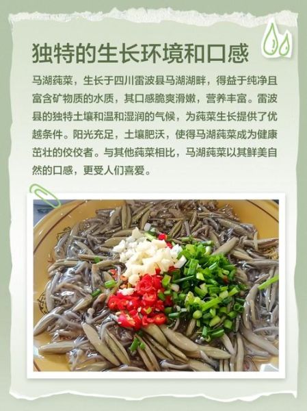 莼菜的功效与作用禁忌_哪些人不能吃莼菜-第2张图片-山城妙识 莼菜的功效与作用禁忌_哪些人不能吃莼菜-第2张图片-山城妙识