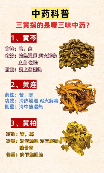 黄芩和黄芪有什么区别_功效差异与使用禁忌-第1张图片-山城妙识 黄芩和黄芪有什么区别_功效差异与使用禁忌-第1张图片-山城妙识