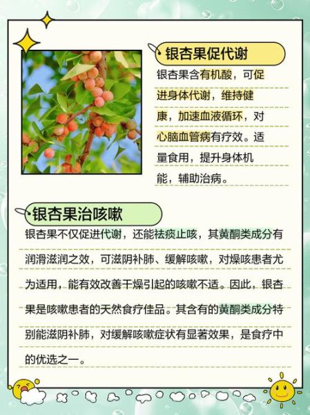 银杏果吃多了会中毒吗_银杏果中毒症状及解毒方法-第2张图片-山城妙识 银杏果吃多了会中毒吗_银杏果中毒症状及解毒方法-第2张图片-山城妙识