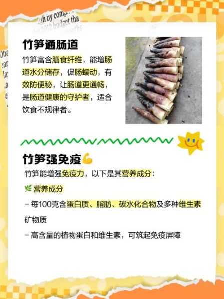 女性吃竹笋的好处和坏处_竹笋对女性的影响-第1张图片-山城妙识 女性吃竹笋的好处和坏处_竹笋对女性的影响-第1张图片-山城妙识